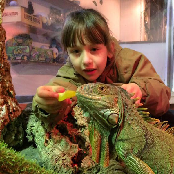Buy Junior Zoo keeper GV Tickets online - Millets Wildside